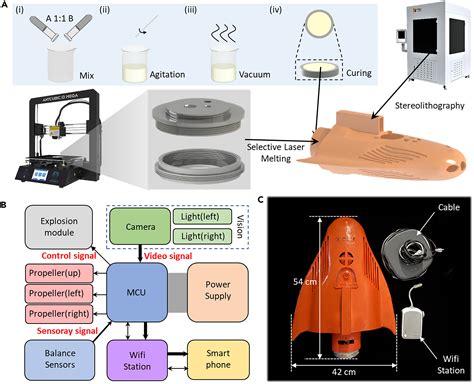 Yolox Dg Robotic Detection Systems For Large Scale Underwater Concrete