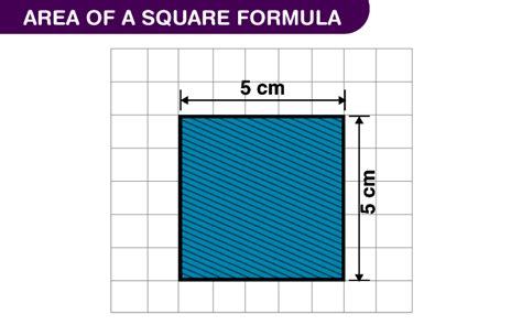 Area Of A Square Definition Formula Sample Problems Practice Problems