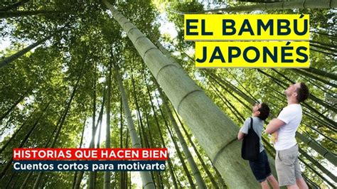 🙏 Cuentos Cortos Para Motivarte El Bambú Japonés Daniel Colombo