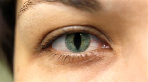 People With Lizard Eyes