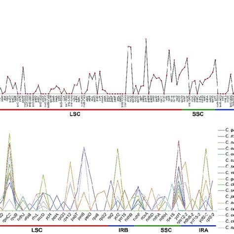 Nucleotide Variability In Each Gene A Details In Table S6 And Download Scientific Diagram
