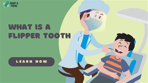 What Is A Flipper Tooth
