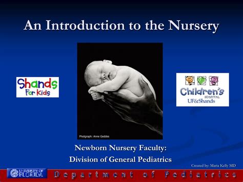 Ppt An Introduction To The Nursery Powerpoint Presentation Free