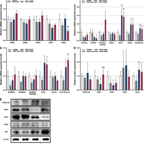 Molecular And Biochemical Quantification Of Target Molecules Of Nps Download Scientific