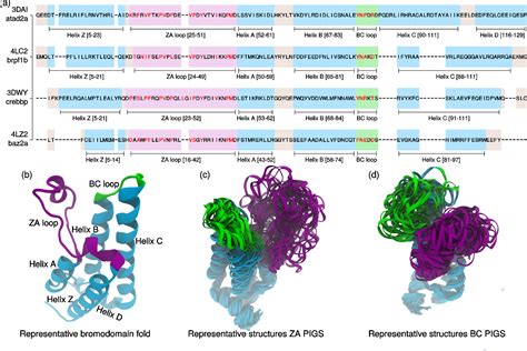 Figure 1 From Focused Conformational Sampling In Proteins Semantic