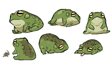 Frog Design Process At Emma Acevedo Blog