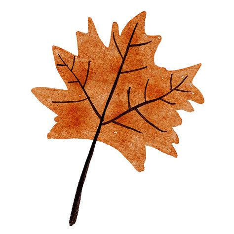 Free Maple Leaf Png Maple Leaf Images Pixabay