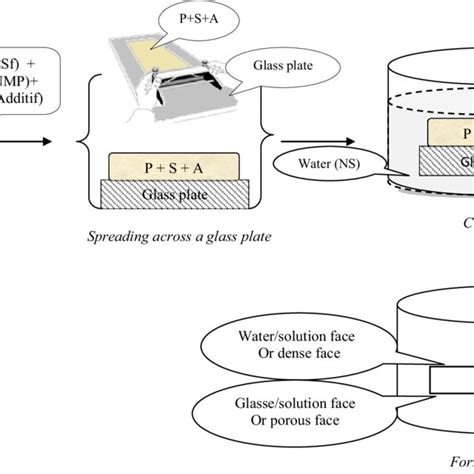 Scheme 1 Membrane Preparation Process Download Scientific Diagram