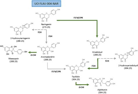 Optimization Of Flavanonols Heterologous Biosynthesis In Streptomyces