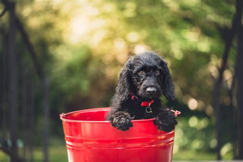 How To Create Date Buckets In T Sql Andy M Mallon Am²