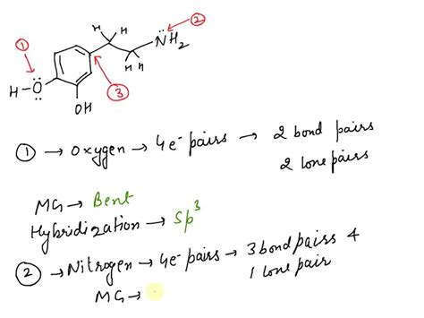 Solved For The Following Molecules Provide 1 The Correct 3