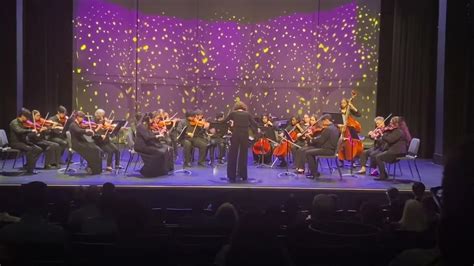 Funky And The Bass Cats By R Anne Svendsen Funky Bunky Youtube