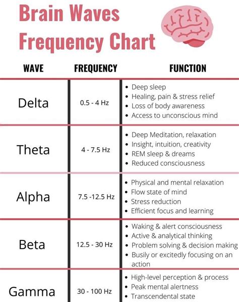 Neurotransmitters 101 Infographic Artofit