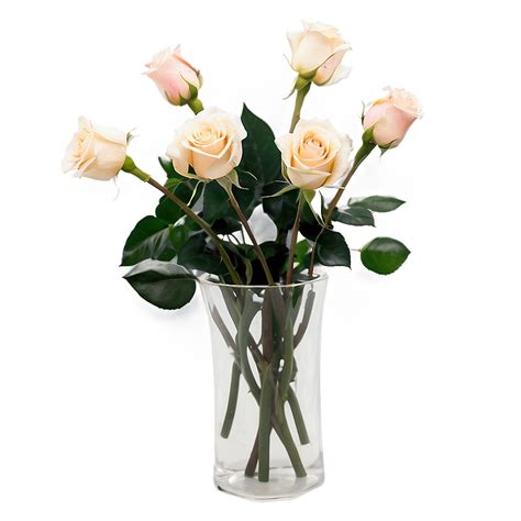 Roses In Vase Arrangement Png Ube Png Image