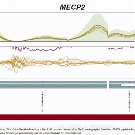 Results Of The Mecp2 Mutation In The Patient Ngs Of 172 Genes Was