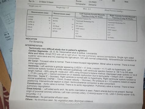 Echocardiogram Report Ask A Cardiologist Online For Echo Report