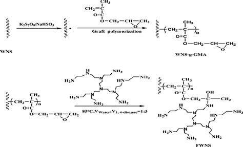 Associated Reactions Of The Modification Process Download Scientific Diagram