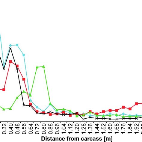 Decomposing Red Deer Carcass Covered By Larvae Of Diptera Maggots