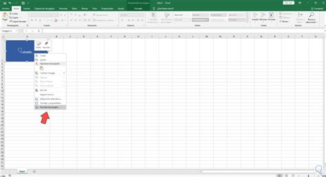 Cómo Insertar Una Imagen En Excel — Portal Excel Netzdot