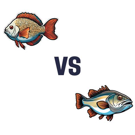 Tilapia Vs Cod Which Is Healthier 10almonds