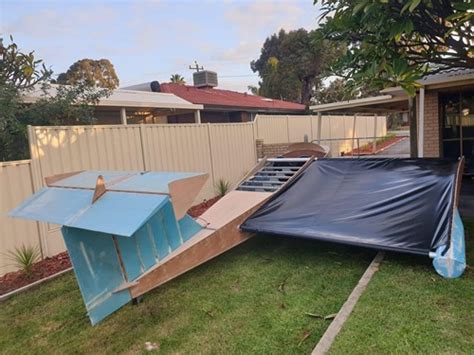 Mudskipper Nest Of Dragons