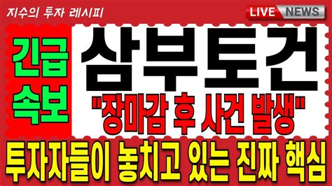 삼부토건 주가 전망 긴급 주가 폭등 지금 사도 될까 우크라 재건의 진실 공개 Youtube