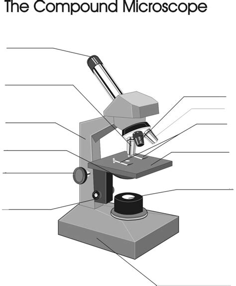 Compound Microscope Diagram