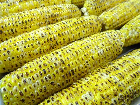 Corn Grilled Corn Cob Maize Cob Corn Kernels Ears 4k Hd Wallpaper
