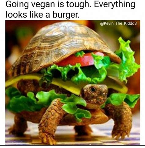 60 Memes To Cruise Over Humpday Going Vegan Funny Af Memes Af Memes