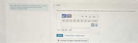Solved Miti Widest Port The Damerer Of A Botienose Dolehin
