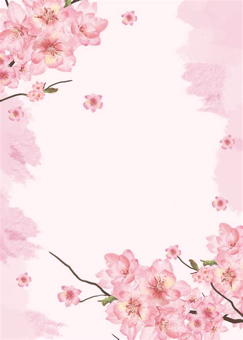 Fondo Rosa Hermosa Flor De Cerezo Flores Decoración Primavera