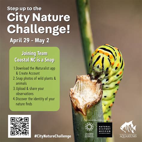 Anna Voss Posted On Linkedin