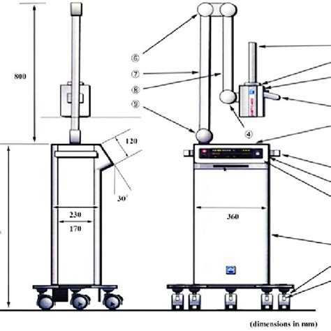 Histopathological Examination Following Conization Patient 2 Download Scientific Diagram