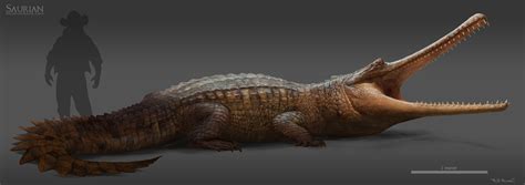 The Thoracosaurus A Late Cretaceous Gavialoid From North America By