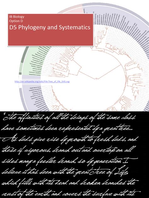 Phylogeny And Systematics Pdf Taxonomy Biology Proteins