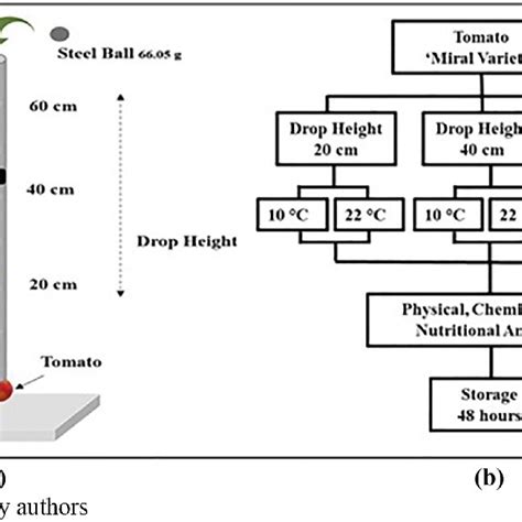 A Drop Test Setup And B Diagram Of The Experiment Download