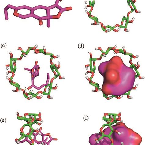 3d Structures Of A Rubropunctatin And B β Cyclodextrin Front View