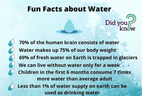Jashwanth Gowri On Linkedin Water Is The Most Vital Thing For Us So