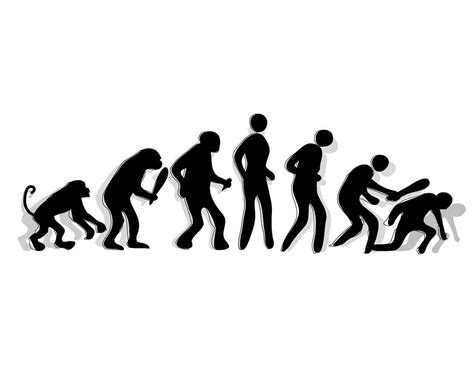 Human Evolution Funny