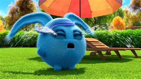 Sunny Bunnies Crying Bunny Sunny Bunnies Compilation Cartoons For