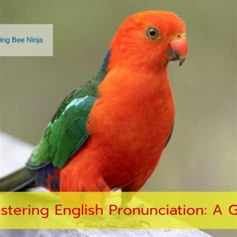 ️ Understanding Possessives S S And Possessive Pronouns