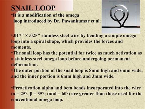 Loops In Orthodontics And Its Uses [autosaved] Ppt