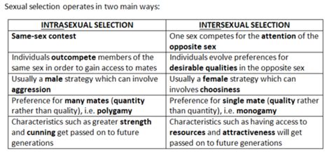A Level Psychology Relationships Evolutionary Explanations For