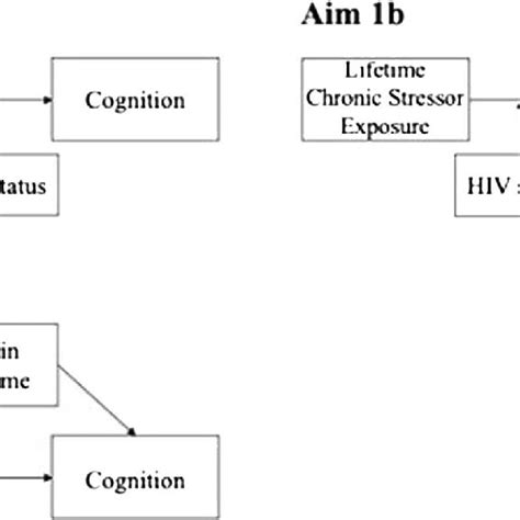 Conceptual Diagram Of The Primary Study Aims Aim 1 Was To Investigate