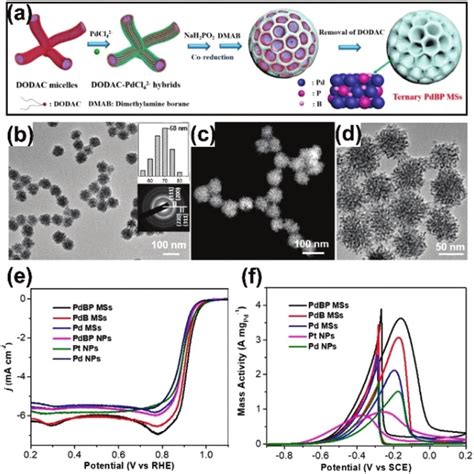 A Schematic Illustration For The Preparation Of Pdbp Mss B D Tem