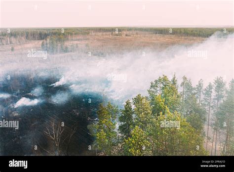 Aerial View Spring Dry Grass Burns During Drought Hot Weather Bush