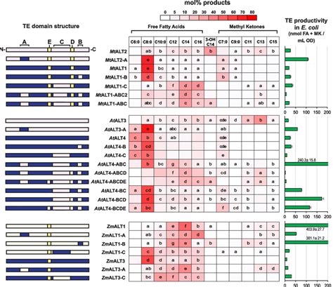 Structural Composition Substrate Specificity And Productivity Of