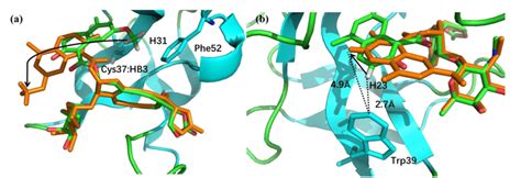 Figure 1 From Automated Fragmentation Qmmm Calculation Of Nmr Chemical