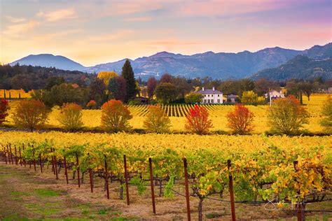 California Wine Country Wine Valley Print Napa Valley Fall Sunset