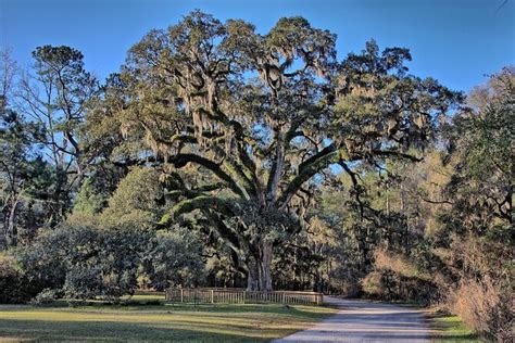 Mobile Area Multi Attraction Pass